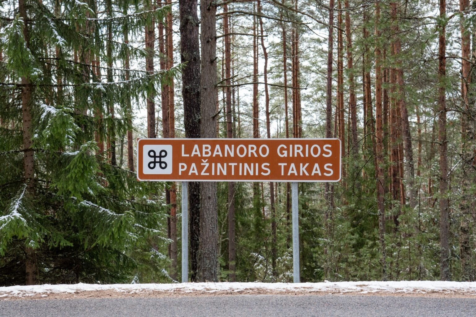 Labanoro girios pažintinis takas - Nesėdėk namuose
