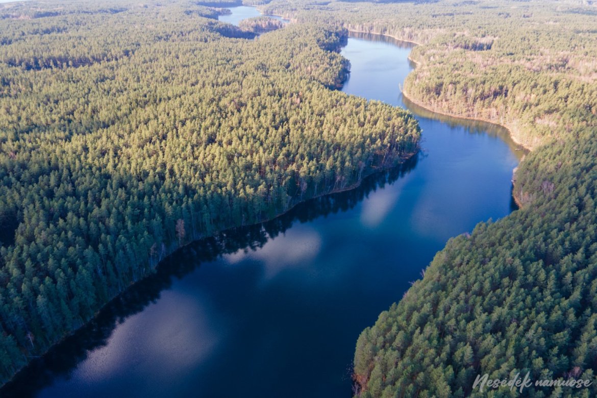 Alnio ežero takas - Nesėdėk namuose