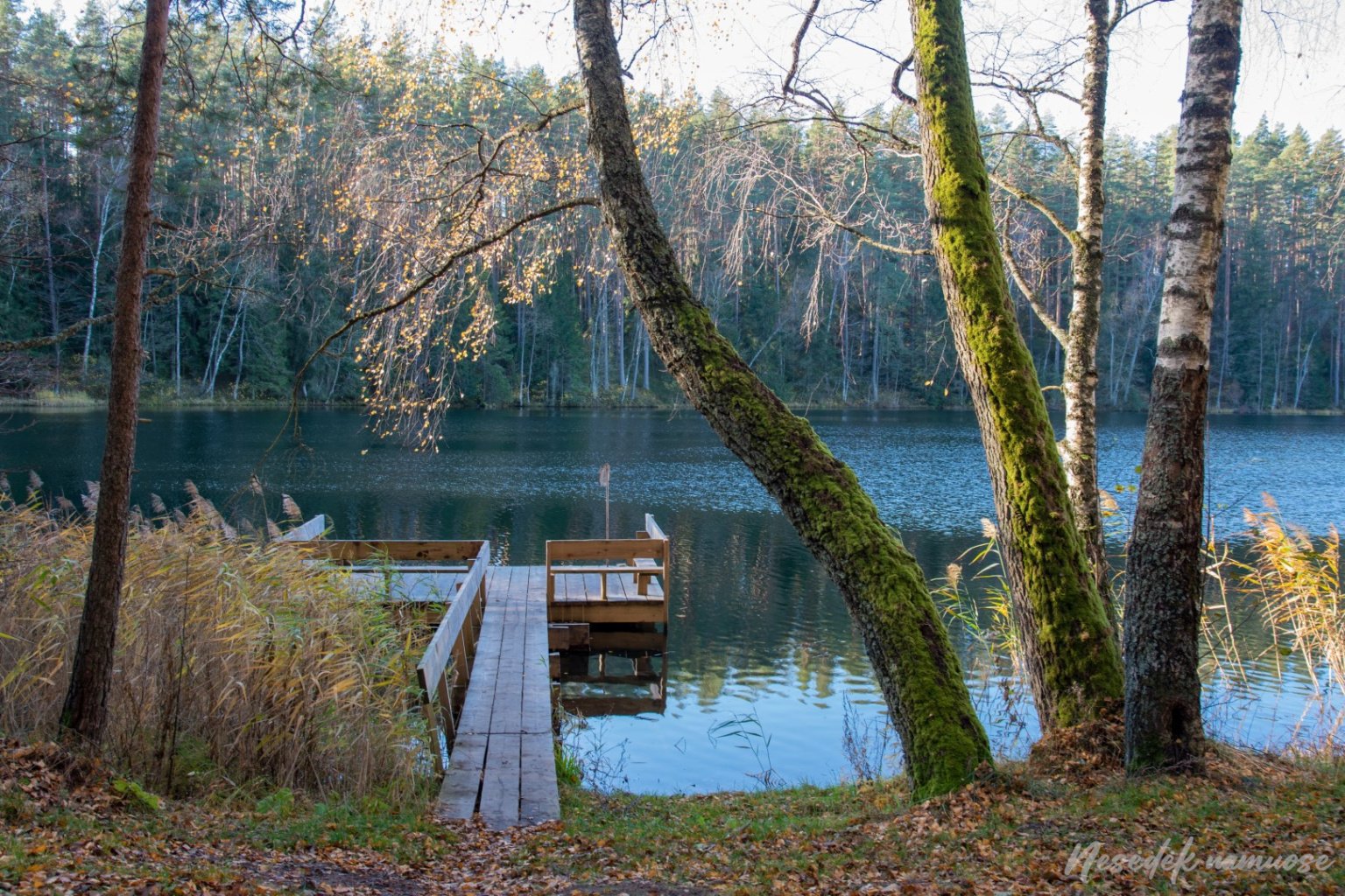Alnio ežero takas - Nesėdėk namuose