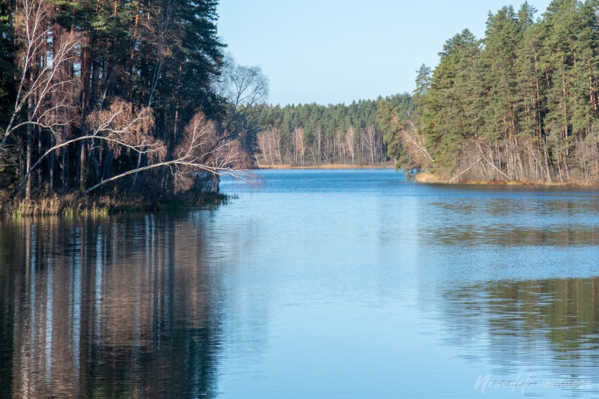 Alnio ežero takas - Nesėdėk namuose