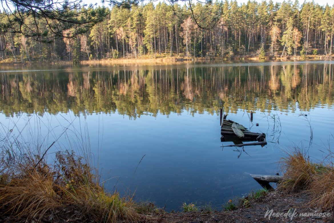 Alnio ežero takas - Nesėdėk namuose